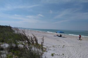 Shelling on Cayo Costa and Lunch at Cabbage Key