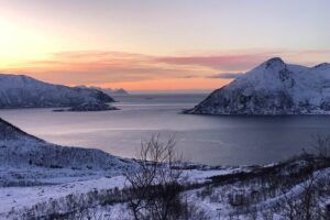 Tromsø: Fjords Tour with campfire and photos
