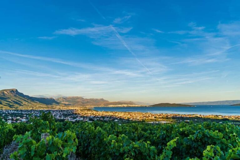 Split: Sip & Celebrate Wine-tasting Hen Party in a Vineyard