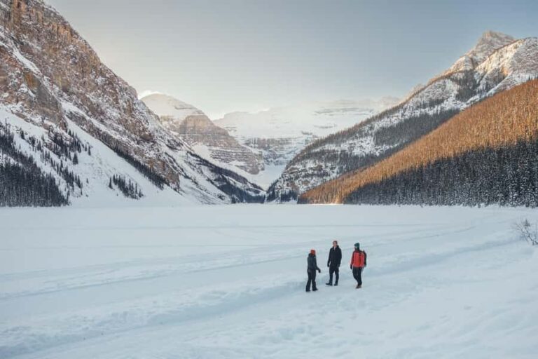 Banff/Canmore: Lake Louise Frozen Wonderland