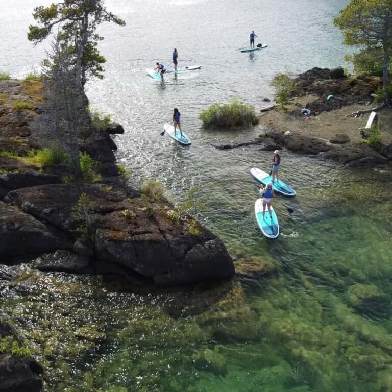 Gordon Bay: 1.5-Hour Paddleboard Tour of Gordon Bay Islands